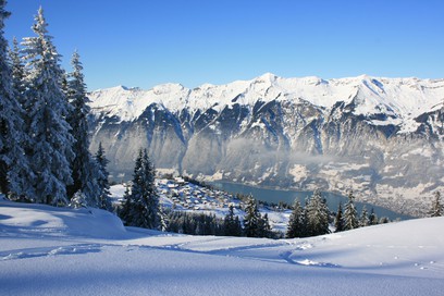Winter - Interlaken - Hotel Bernerhof, Interlaken